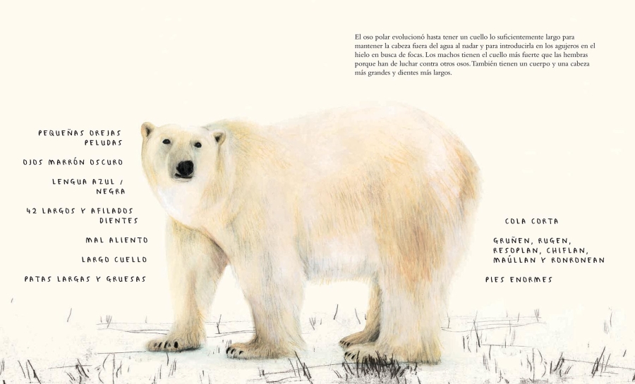 Ecofeminismo a través de cuentos infantiles – Tiempo de actuar